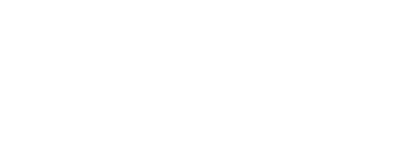 Trees, Leaves and Bark | Museum of the Sierra